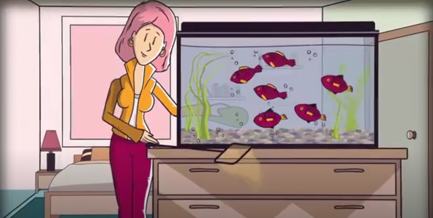 Find customers on Quasa Connect app.