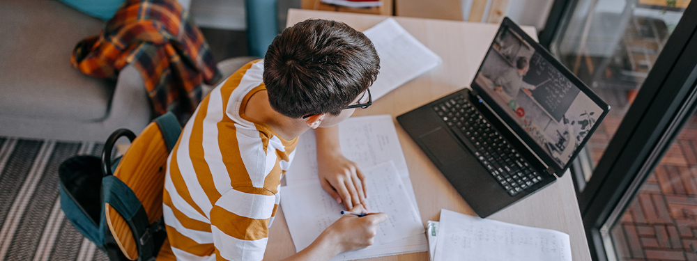 Top 8 Main Differences Between Online and Remote Education