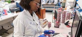 Which Main Instruments Will You Find in A Microbiology Laboratory?